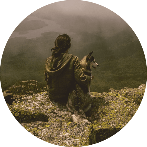 dog – Citra Groups